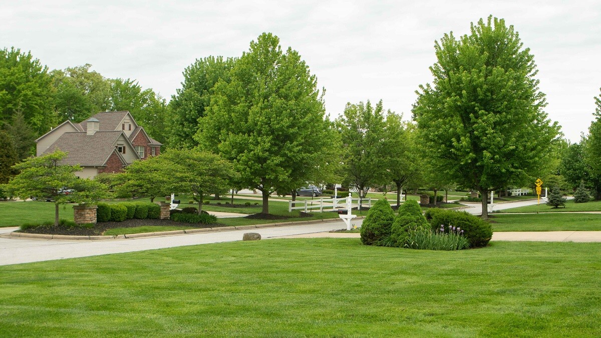 3 Best Grass Types for My Northeast Ohio Property